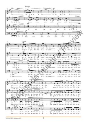 Compadre del sol – Ediciones GCC